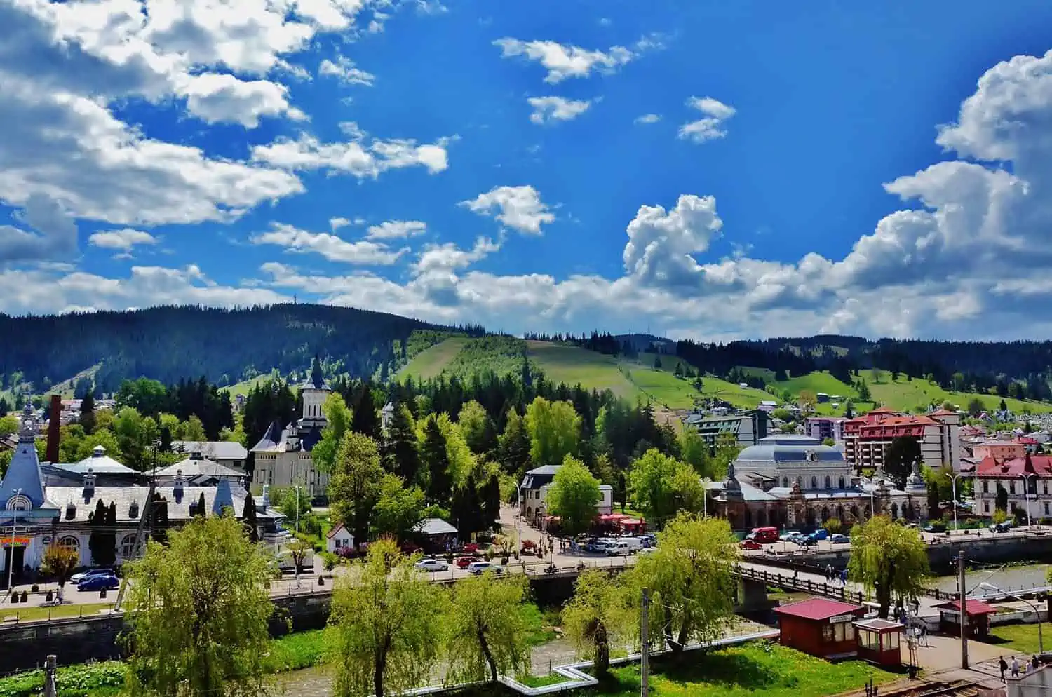 Verificare online Cod Identificare Fiscala - Servicii Romania